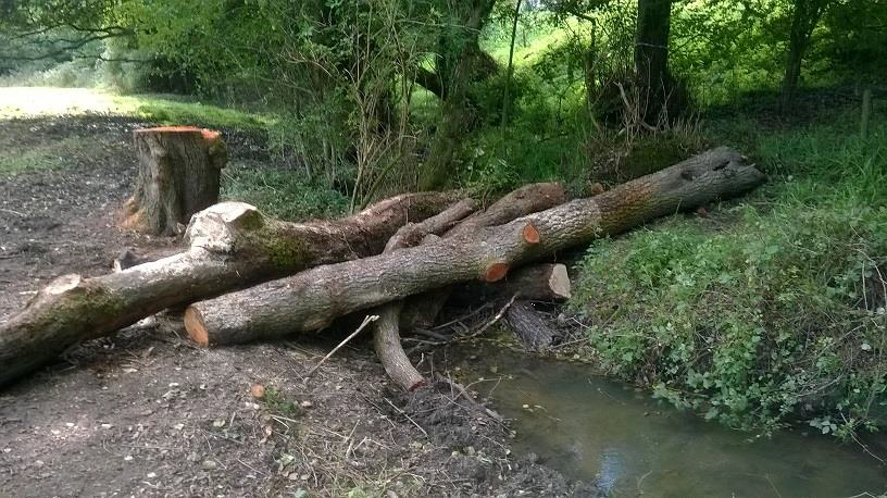 The River Roding Project information page - Environment Agency ...